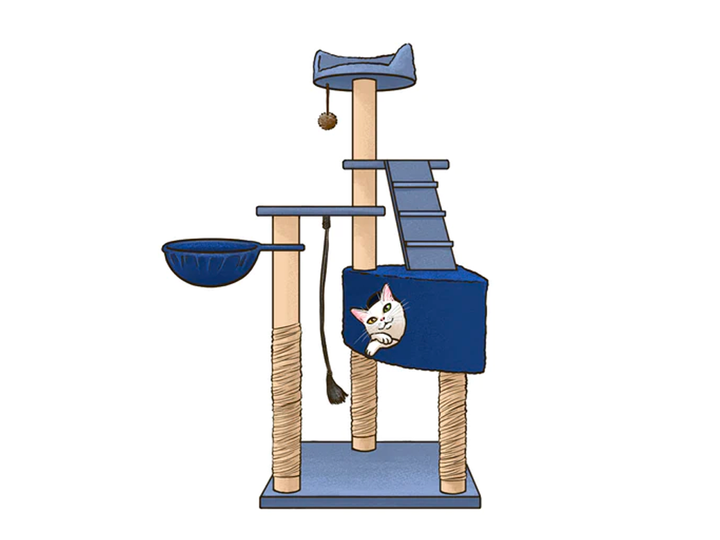 ねこは頭がいい？記憶力は高い？ねこの知能について | 獣医師監修 ねこ病気事典 | Toletta Cats [トレッタキャッツ]